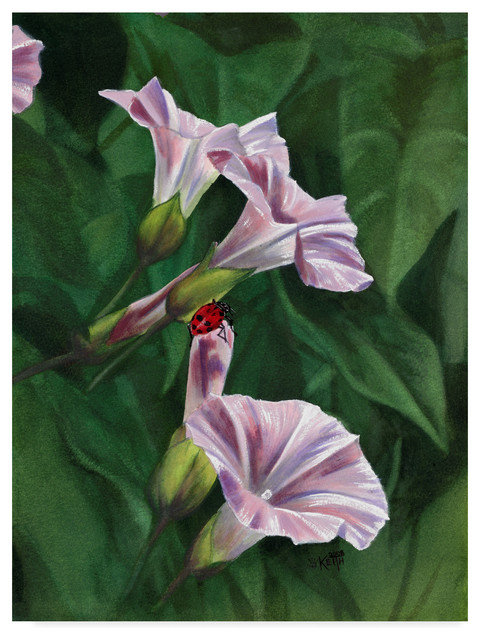 "Morning" by Barbara Keith, Canvas Art, 32"x24" - Tropical - Prints And ...