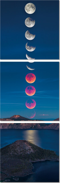Eclipse - Contemporary - Prints And Posters - by HedgeApple | Houzz