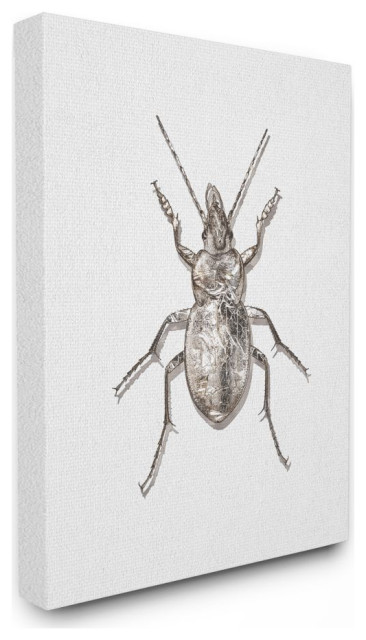 Textured Beetle Minimal Shadow Brown White Design, 1-Piece, 16x20, 30 x ...