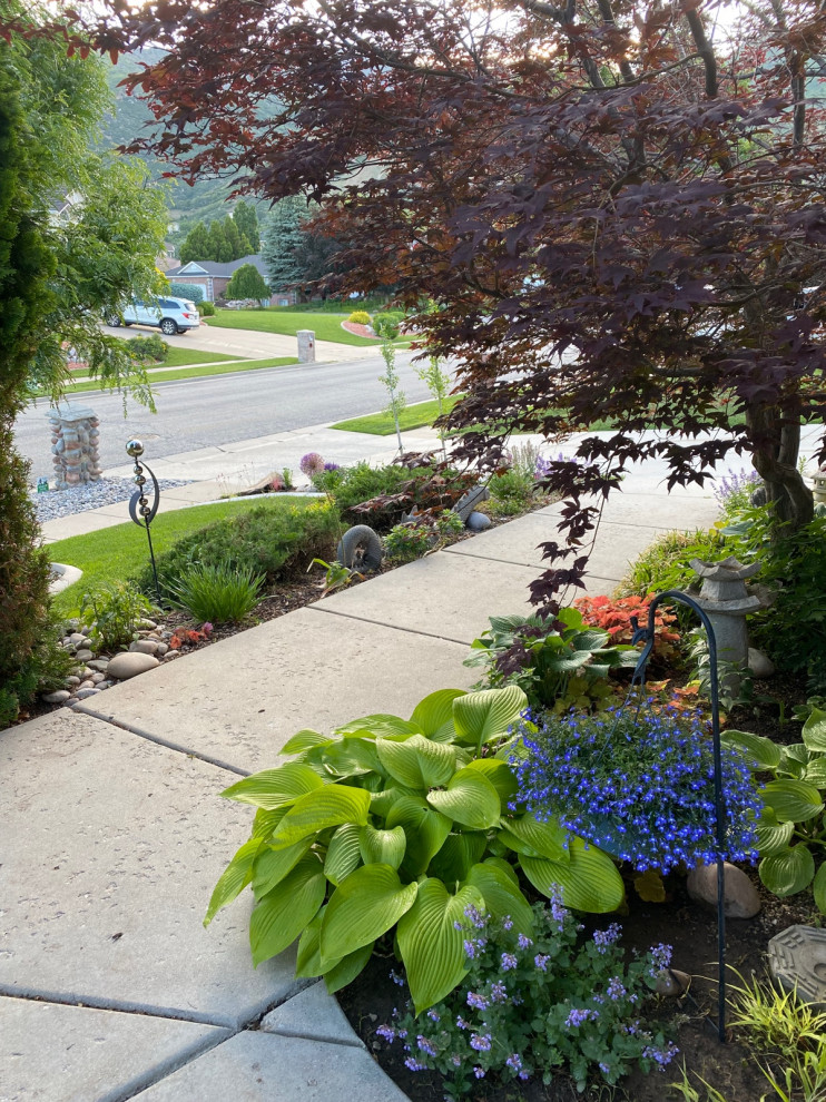 9 Peaceful Garden Scenes to Bring a Moment of Serenity