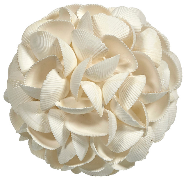 Natural White Ark Shell Orb, 6" - Beach Style - Garden Statues And Yard ...