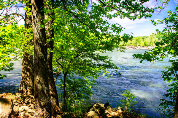 Fine Art Photograph, Spring On The River II, Fine Art Paper Giclee, 36 ...