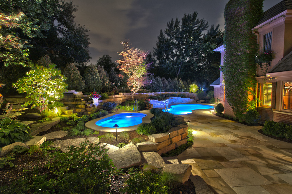 Freeform Outdoor Inground Swimming Pools - Chicago - by Platinum ...