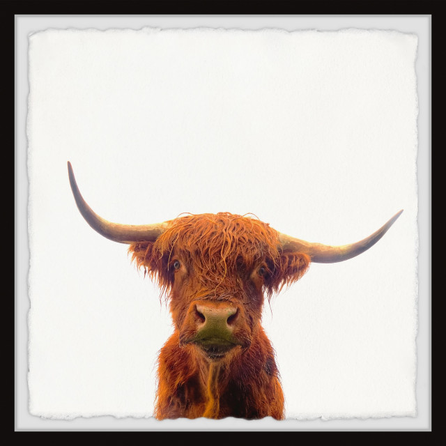 "The Orange Buffalo" Framed Painting Print, 18"x18" - Farmhouse ...