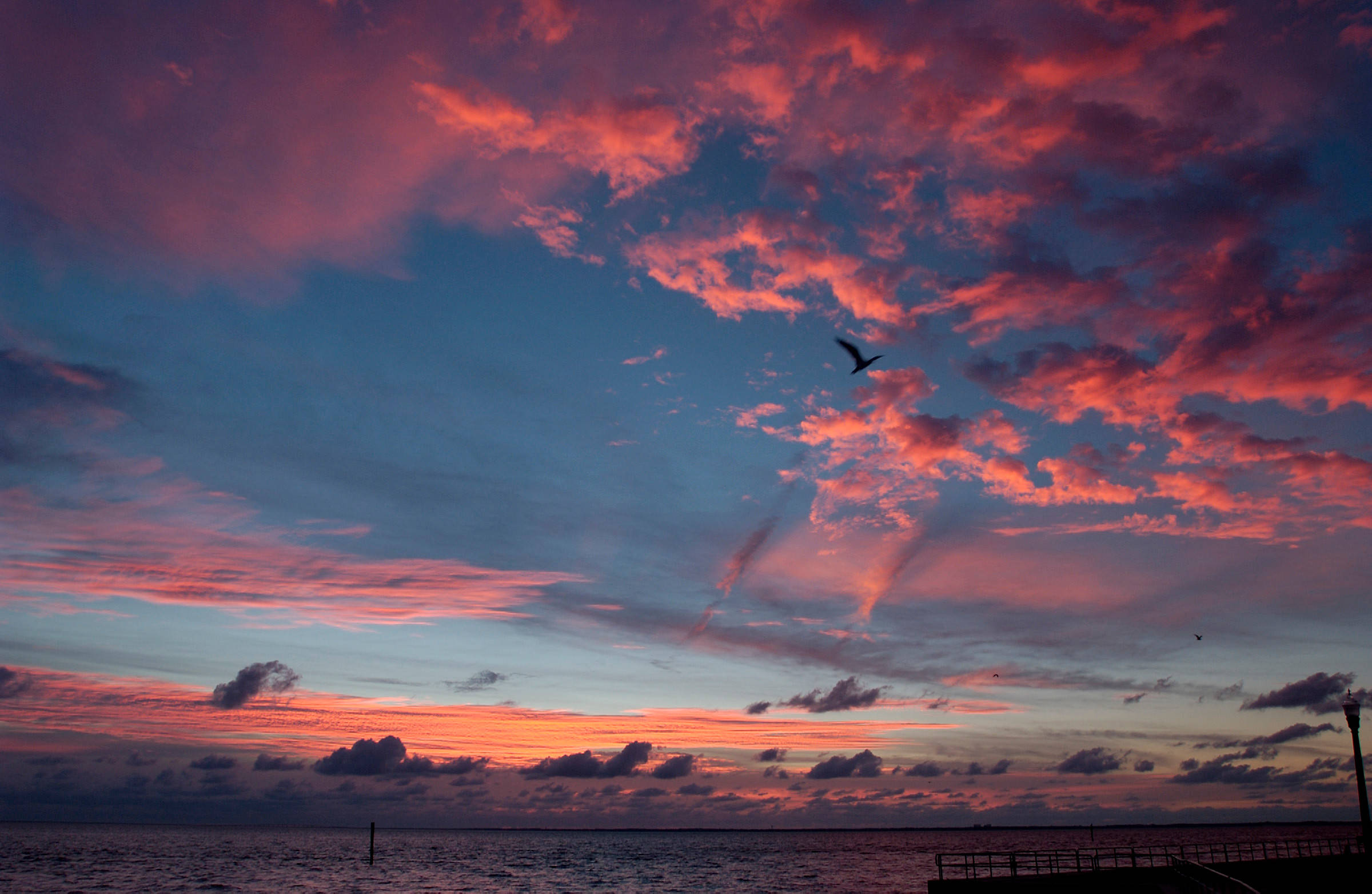 Recovery Tips From a Hurricane Survivor