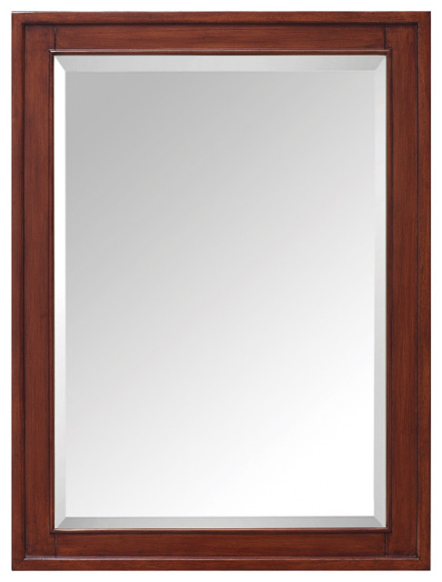 Avanity Madison 24" Mirror Cabinet - Transitional - Medicine Cabinets ...