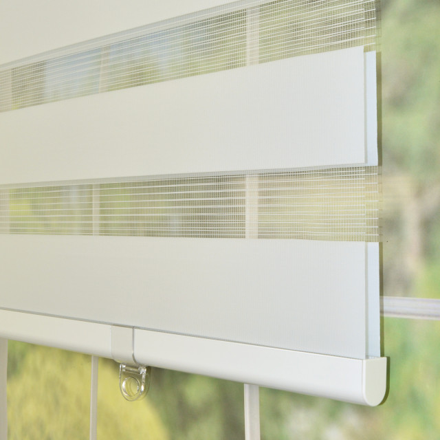 Day and Night Cordless Zebra Shade, 36"x72" - Transitional - Roller ...