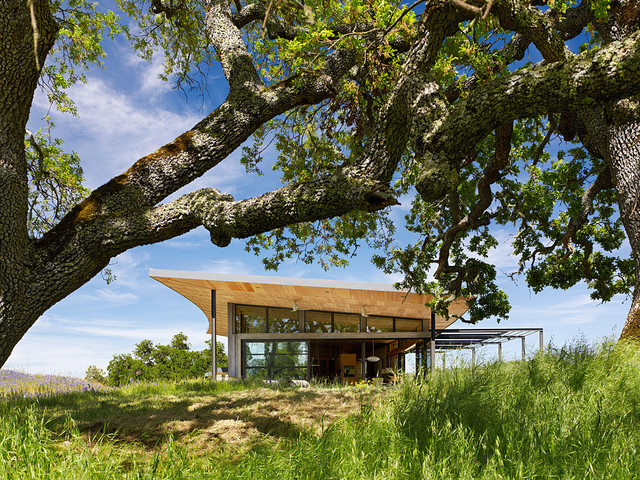 Extend the Roof for Shade and Shelter