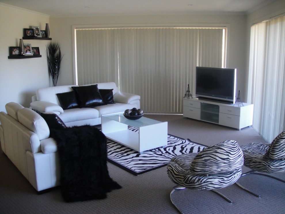 In a Zebra Mood
