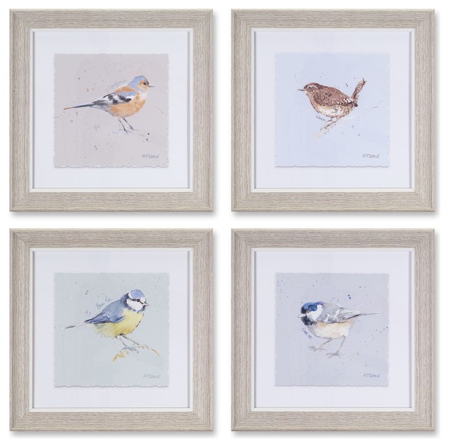 Framed Bird Print (Set of 4) 10"H Wood/Glass - Contemporary - Prints ...