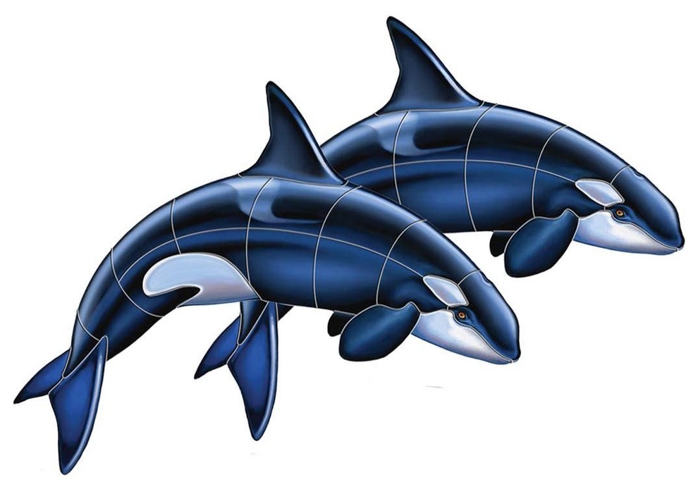 Orca A Double Porcelain Swimming Pool Mosaic, 48"x35" with shadow ...
