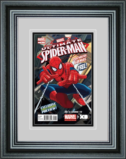 Single Comic Book Frame with Premium Moulding - Traditional - Picture ...