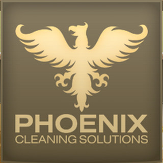 PHOENIX CLEANING SOLUTIONS - Project Photos & Reviews - Raleigh, NC US ...