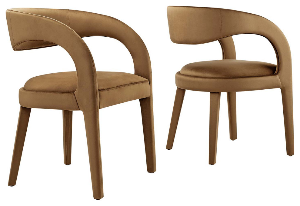 Pinnacle Performance Velvet Dining Chair Set of 2, Brown - Contemporary ...