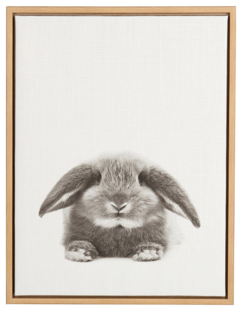 DesignOvation Rabbit Black and White Portrait Natural Framed Canvas ...