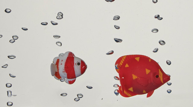 Aquarium Light Box - Beach Style - Novelty Lighting - by Adesso | Houzz