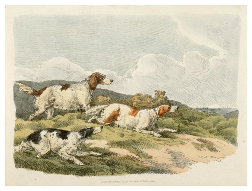 "Running Hounds, 1817" Digital Paper Print by Henry Thomas Alken, 18 ...