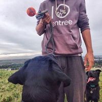 ANDREW HAWES - Project Photos & Reviews - Calgary, CA | Houzz