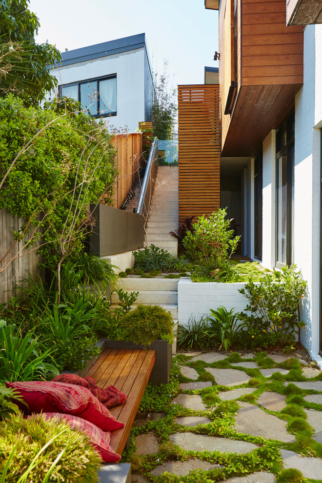 2019 Gold Award - Plantscape, Landsberg Garden Design - Modern - Sydney - by LDI (Landscape ...