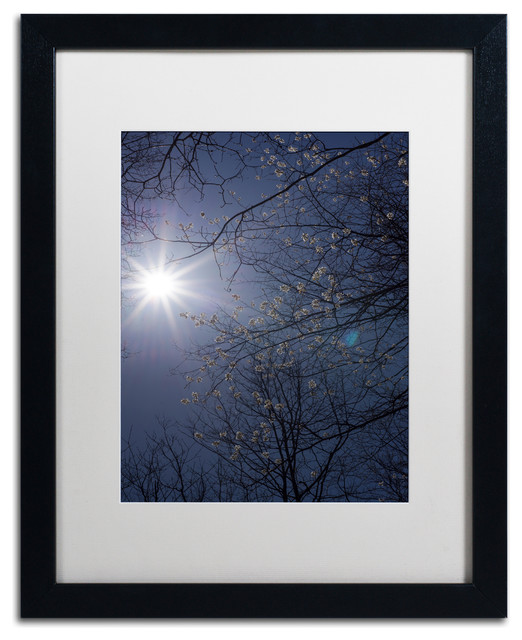 Kurt Shaffer 'Springtime Sunshine' Matted Framed Art, 16x20 ...
