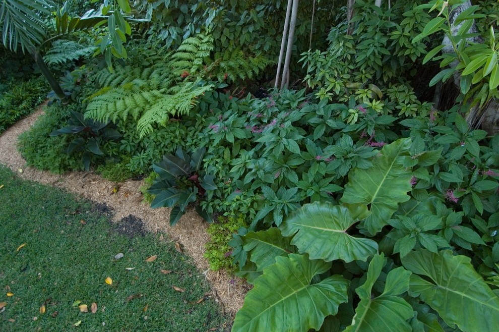 Miami Landscape Design Ideas - Landscape - Miami - by Knoll Landscape ...