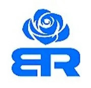 BLUE ROSE MAINTENANCE & CONSTRUCTION - Project Photos & Reviews ...