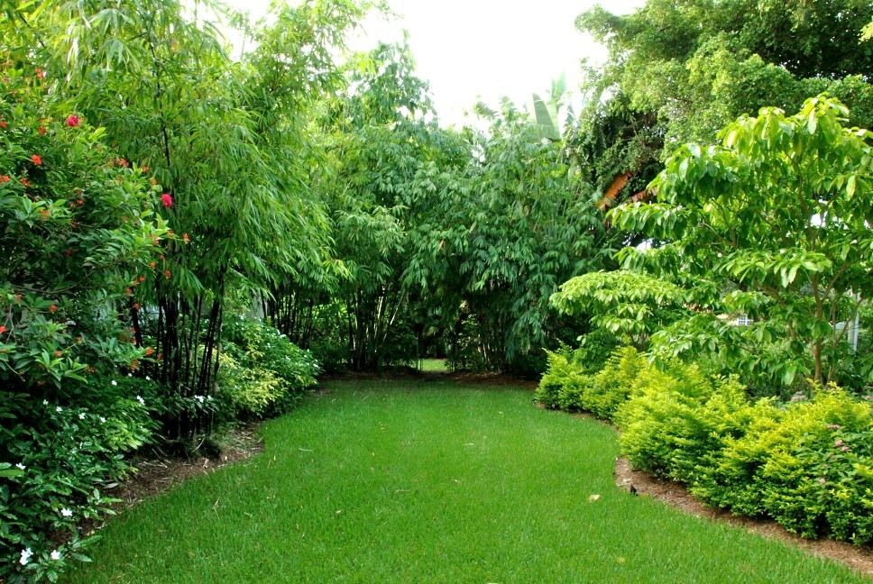 Miami Landscape Design Ideas - Landscape - Miami - by Knoll Landscape ...