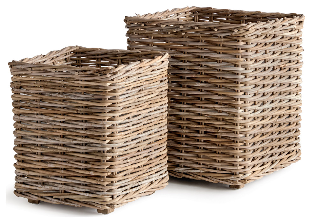 Harrison Planters, Set of 2 - Tropical - Indoor Pots And Planters - by ...