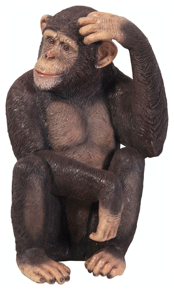Chauncey the Confused Chimp Garden Monkey Statue - Contemporary ...