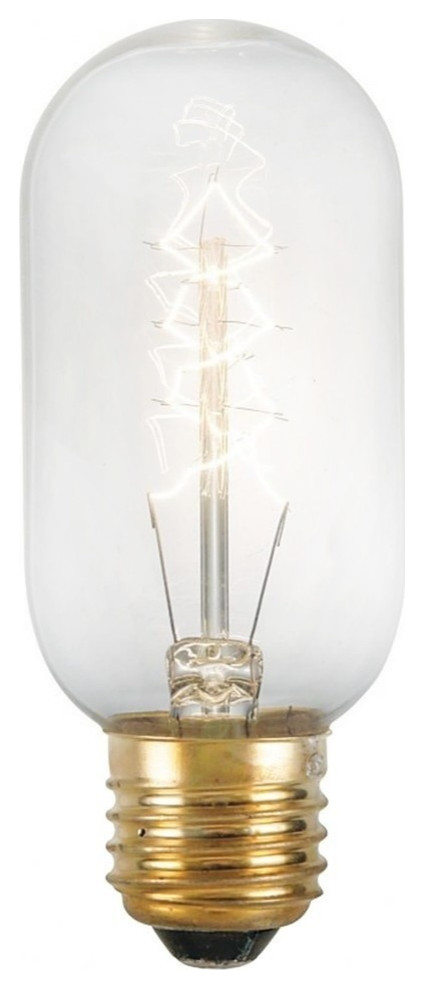 Beacon Light Bulb - Traditional - Light Bulbs - by Renwil | Houzz