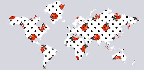 Studio Map Mural - Ladybugs - Peel & Stick, 74" x 36" - Contemporary ...