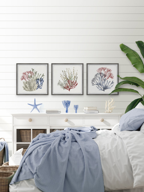Marine Life Display Triptych, 3-Piece Set, 12x12 - Beach Style - Wall ...
