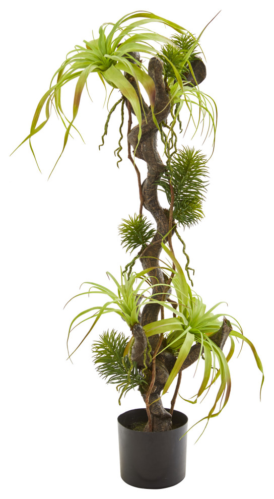 41" Air Plant and Succulent Jungle Artificial Plant - Modern ...