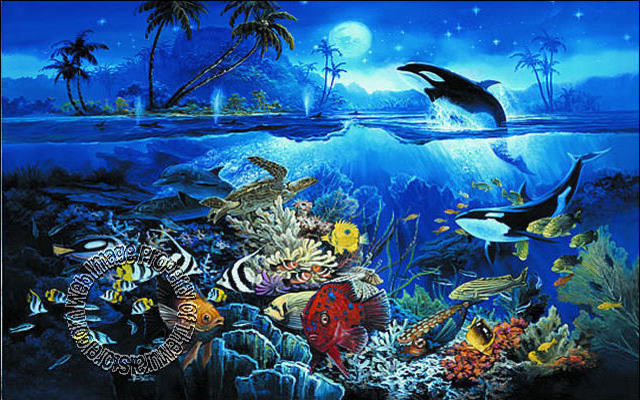 Tropical Fish Wall Mural - Tropical - Wallpaper - by The Home Store | Houzz