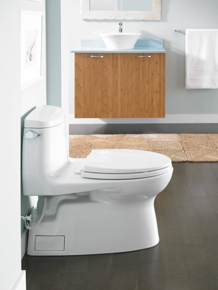 Seeking Skirted Toilet with Good "Water Spot"