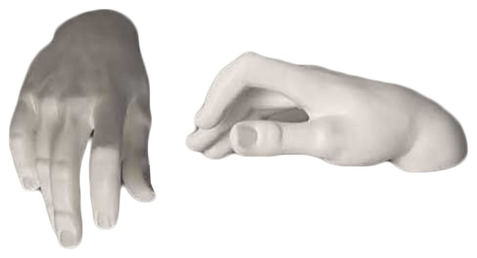 Male Right Hand 11 W, Drawing Casts Hands - Contemporary - Garden ...