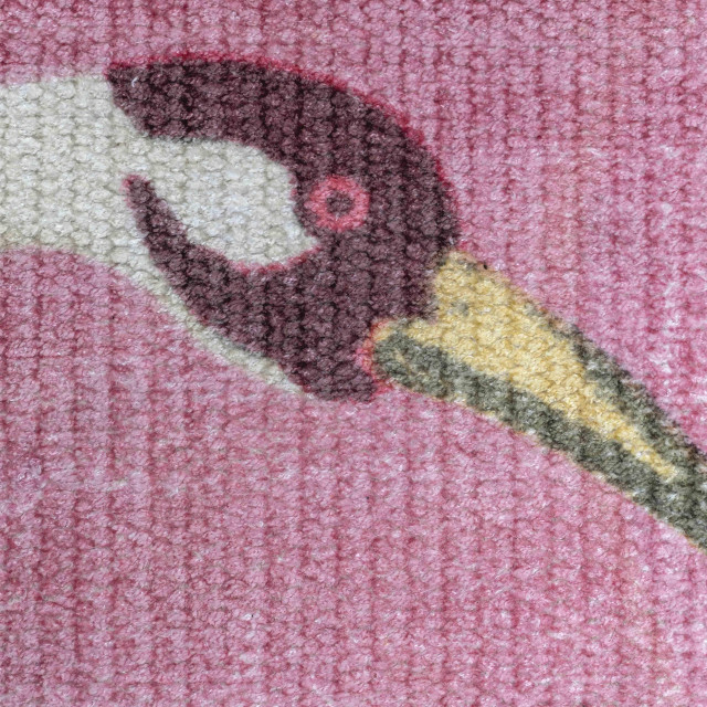 Flamingo Pink 8'x10' Area Rug - Tropical - Area Rugs - by First of a ...
