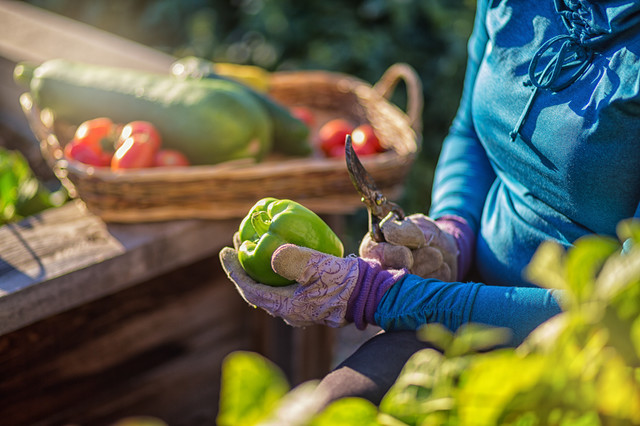 6 Ideas for Sharing With Neighbours & the Community | Houzz AU