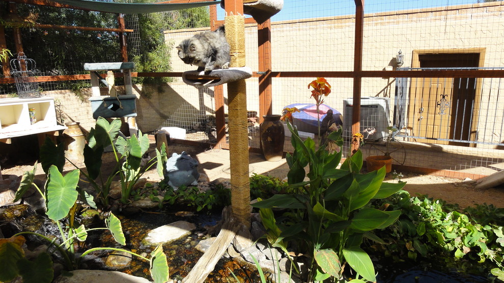 Cat Enclosure Built Around Tree Giving My Cats’ Catio A Makeover