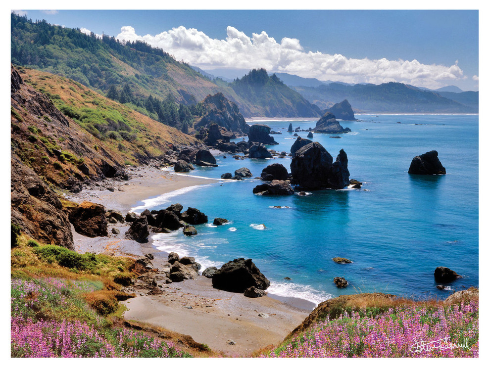 Steve Terrill Oregon Coast Rock Monoliths Art Print, 9"x12 ...