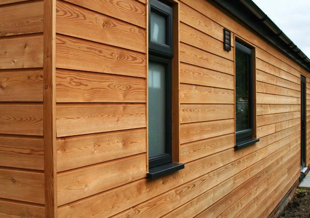 Siberian Larch Cladding, Garden Room - Contemporary - Cambridgeshire ...