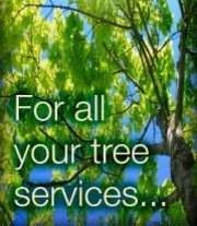 COMPLETE TREE SERVICE - Project Photos & Reviews - Colorado Springs, CO ...