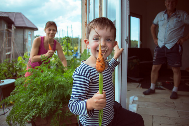 World of Design: 10 Home Growers Show Us Their Edible Gardens | Houzz UK