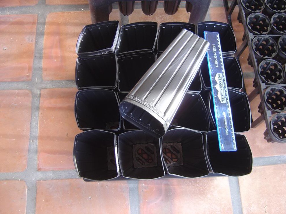 New Potting systems, trays and pots