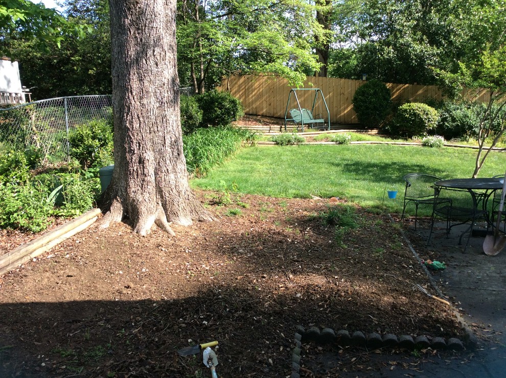Backyard Landscape Drainage Disaster