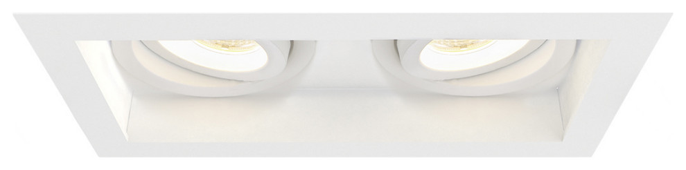 Eurofase 31763-30-011 2-Light Gimbal, Amigo - Modern - Recessed ...