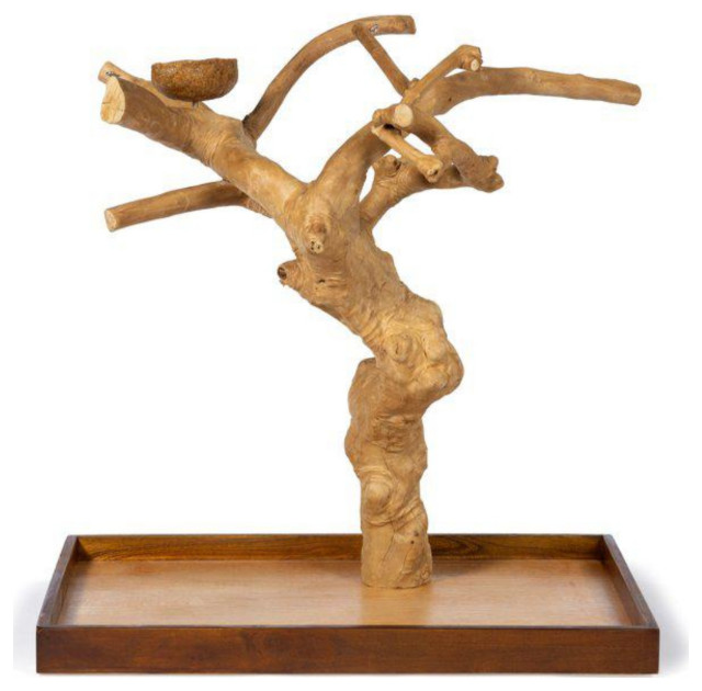 Coffeawood Tree Mini Table Top Large - Rustic - Decorative Objects And ...