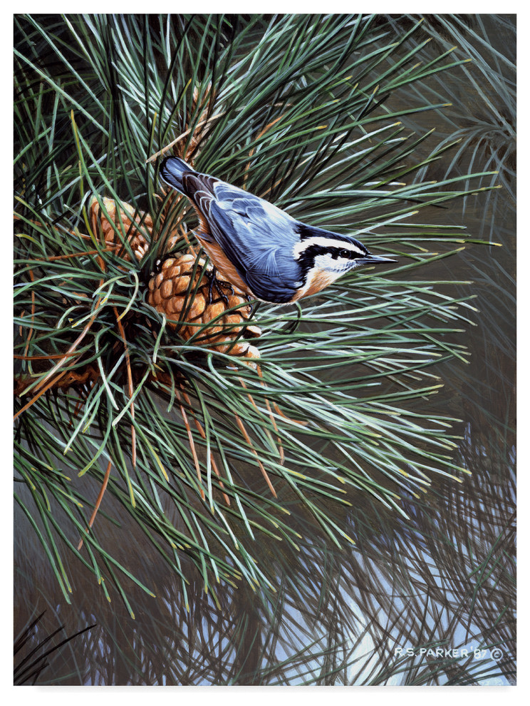 Ron Parker 'Nuthatch On Pine Cone' Canvas Art, 47"x35" - Rustic ...