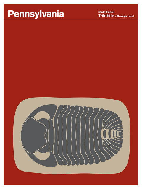 Pennsylvania Trilobite Print, 8" x 10" - Contemporary - Prints And ...