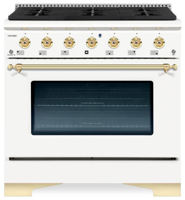 Classico Series 36" Dual Fuel Freestanding Range - Contemporary - Gas ...